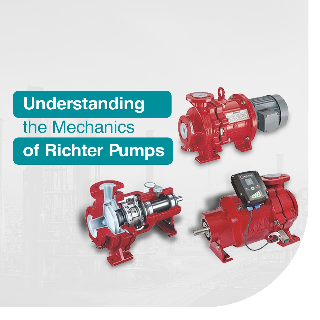 Understanding the Mechanics of Richter Pumps